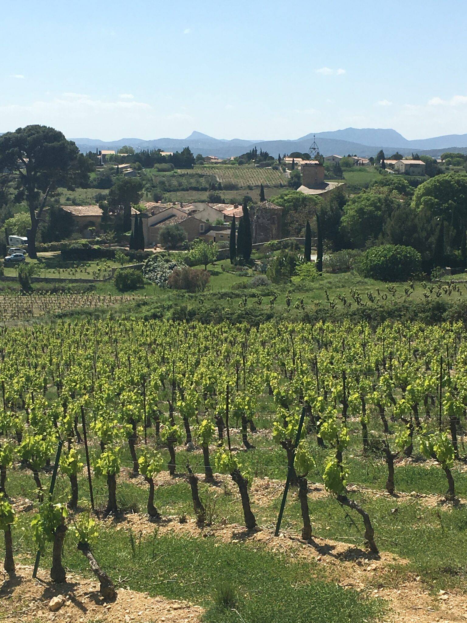 Montpellier Wine Tours